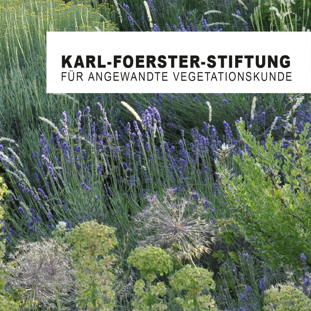 Karl Foerster - Karl-Foerster-Stiftung